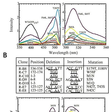 a general scheme of the random insertion deletion rid mutagenesis for download scientific