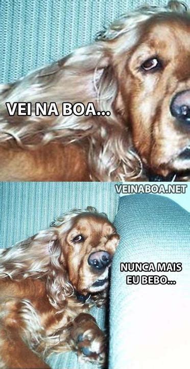 Pin de em Véi na boa Vida de bicho Memes engraçados Imagens