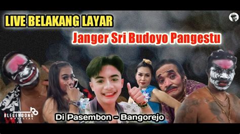 LIVE DIBALIK LAYAR JANGER SRI BUDOYO PANGESTU DI SEMBON YouTube