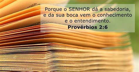 52 Versículos da Bíblia sobre Sabedoria DailyVerses net