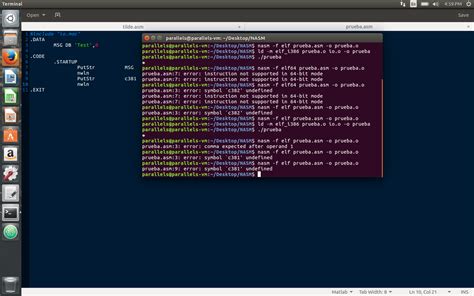 Terminal Assembly Problems With Ascii Extended Characters Stack