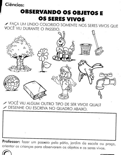 JORNAL R 7ª ATIVIDADES DE CIÊNCIAS 2 ANO SERES VIVOS