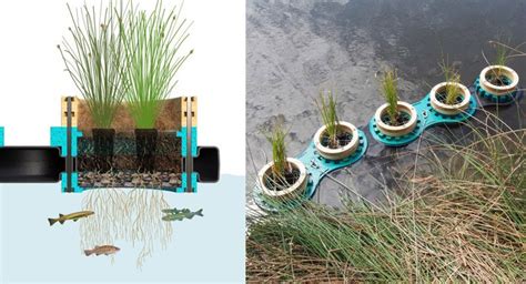 Inventos ecológicos que te sorprenderán Ecologia Hoy