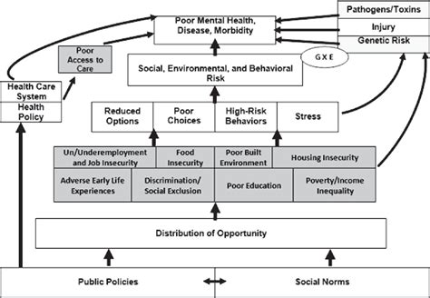 Social Determinants Of Health Mind Map