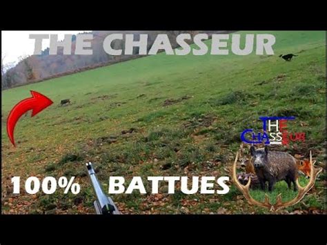 Battues Aux Sangliers Saison Aux Gros Gibiers Youtube