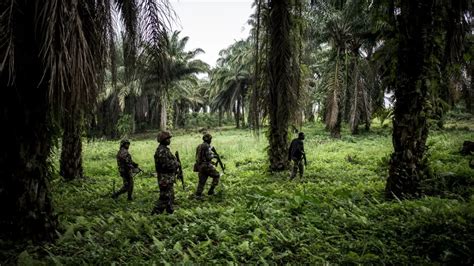 Des Rebelles ADF Massacrent Plusieurs Civils Dans Lest De La RDC