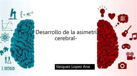 Desarrollo de la asimetría cerebral pptx Descarga Gratuita