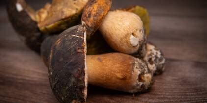 Comment Cuisiner Les C Pes Recettes Gourmandes Cuisine Actuelle
