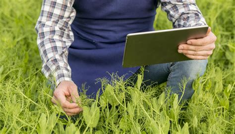 Vantagens da tecnologia no agronegócio e tendências para 2023