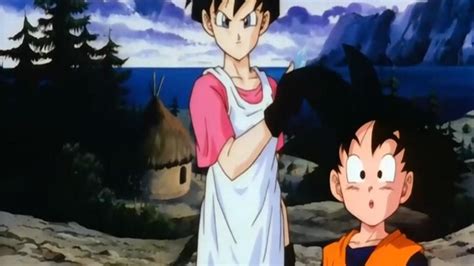 Videl Wallpapers Top Free Videl Backgrounds WallpaperAccess