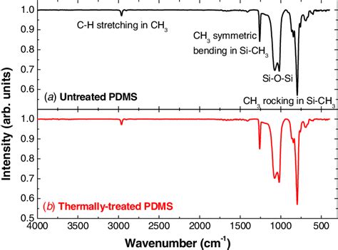 Ft Ir Spectra Obtained From A Untreated And B Thermally Treated