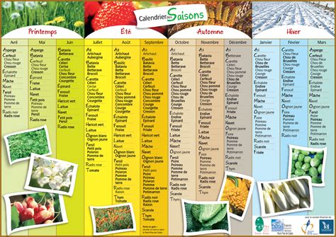 Calendrier Des Fruit Et Legumes De Saison 2024 2024 February Calendar