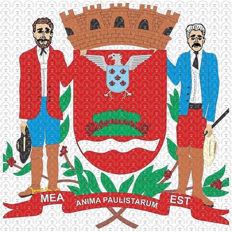 Brasão e Bandeira do Município de Amparo SP mbi br