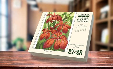 Amazon The Old Farmer S Almanac 2024 Boxed Daily Desk Calendar