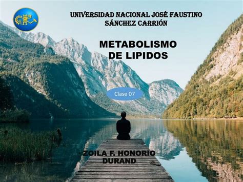 Metabolismo de lípidos I Anderson Chavez Patricio uDocz
