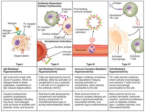 21 6 Diseases Associated With Depressed Or Overactive Immune Responses