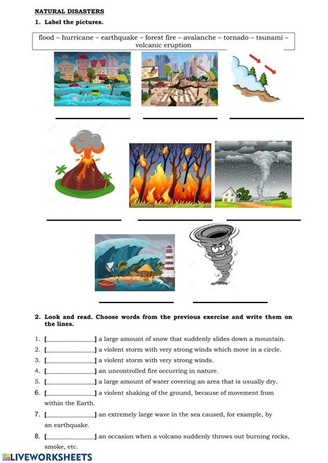 English Reading Learning English English Lessons Fact And Opinion