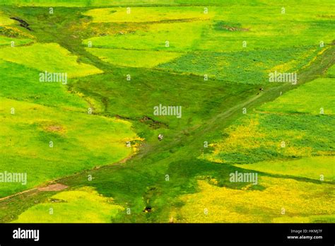 Ethiopia Agriculture Hi Res Stock Photography And Images Alamy