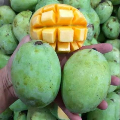 Jual Mangga Indramayu Harum Manis Manalagi 1kg Indonesia Shopee