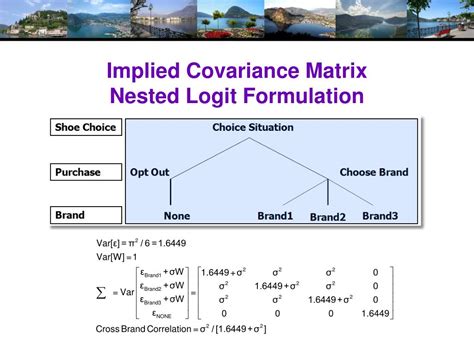 ppt 12 random parameters logit models powerpoint presentation free download id 1840591