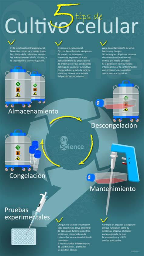 El Ciclo Y Los 5 Tips Del Cultivo Celular On Science
