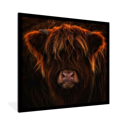 MuchoWow Poster encadré Highlander écossais Vache Noir Tableau