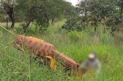Produtor Rural Morre Esmagado Por Trator Em Fartura Itapetininga E
