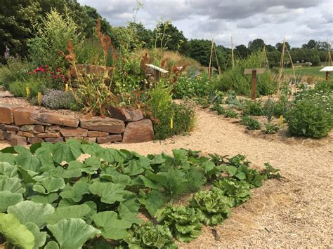 Visite Libre Du Jardin Potager En Permaculture Maison De La Nature Et