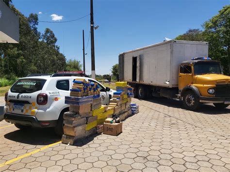 Polícia apreende quase uma tonelada de maconha em Avaré Itapetininga