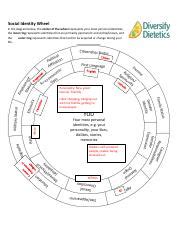 Social Identity Wheel Exercise Pdf Social Identity Wheel In The