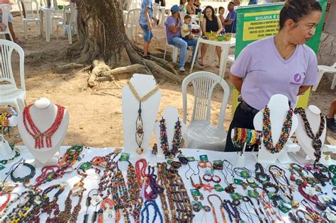 Emater estimula cadeia produtiva do açaí realização de festival em
