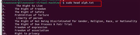 How To Display Contents Of A File In Linux Ubuntu Liberian Geek