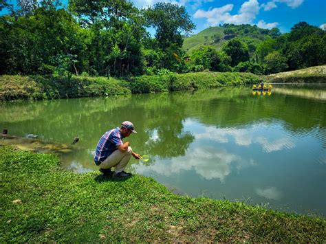 Impulsan crecimiento de la acuicultura en Petén Gobierno de Guatemala