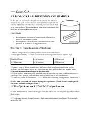 Water Potential Lab Ap Bio