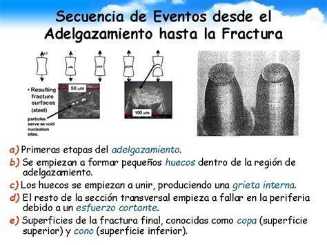 Ingenieria De Materiales Ing Alejandra Garza Vzquez Un