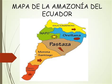 EL TURISMO EN EL ECUADOR Región Amazónica Tercera Semana