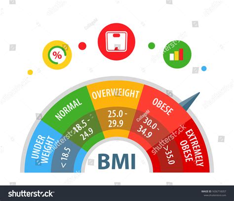 Body Mass Index Body Weight Index BMI Vector Royalty Free Stock