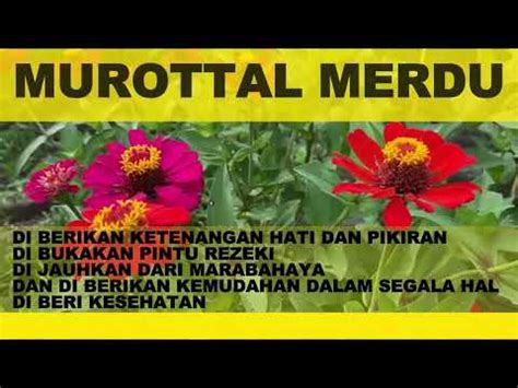DZIKIR PAGI PEMBUKA PINTU REZEKI MUROTTAL MERDU AL QUR AN YouTube