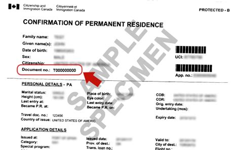Où se trouve le numéro du document indiquant mon statut au Canada