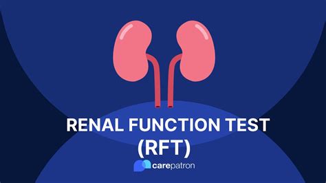 Renal Function Test YouTube