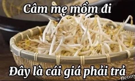 Meme Câm mẹ mồm đi đây là cái giá phải trả