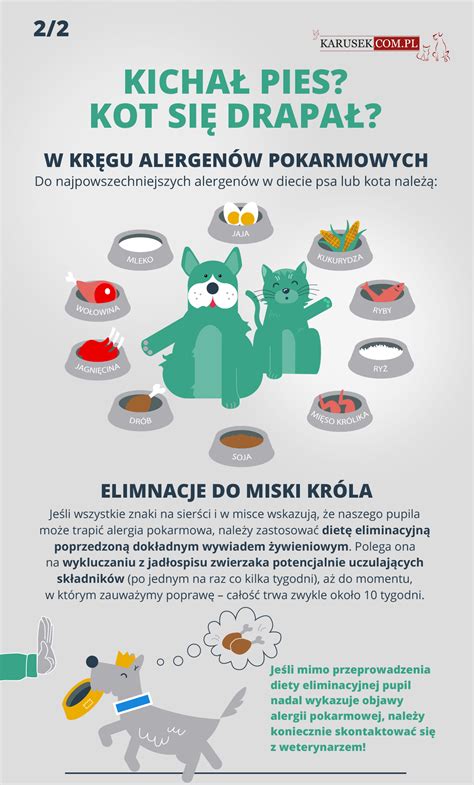 Alergia pokarmowa u psa lub kota jak ją rozpoznać Infografika