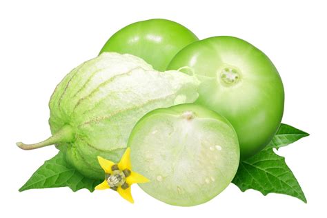 Semillas De Tomatillo Verde Casco Verde Hacer Salsa Etsy