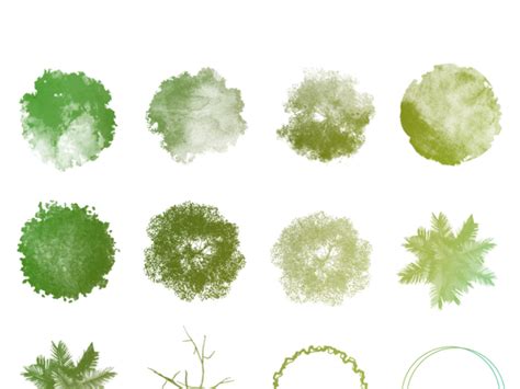 Free Tree Brushes For Photoshop Innaw