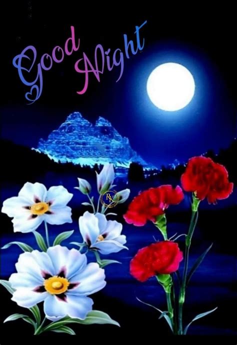 Pin By Rajkiran On Good Night Good Night Flowers Good Night