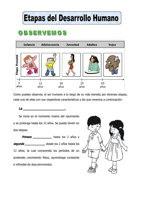 Ficha De Apoyo Docente Etapas DEL Desarrollo Humano Como Puedes