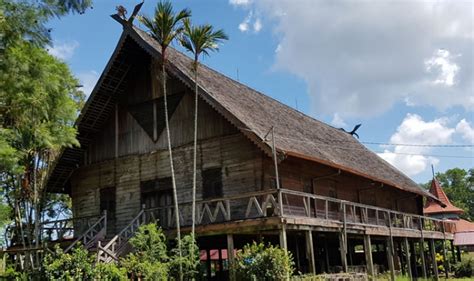Rumah Adat Suku Dayak Ciri Khasnya Gambar LENGKAP