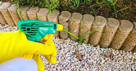 Comment faire un désherbant puissant et naturel pour votre jardin