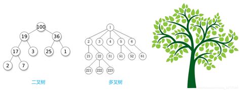 【数据结构】基础二叉树、真二叉树、满二叉树、完全二叉树、二叉树的遍历 真二叉与假二叉的区别 csdn博客