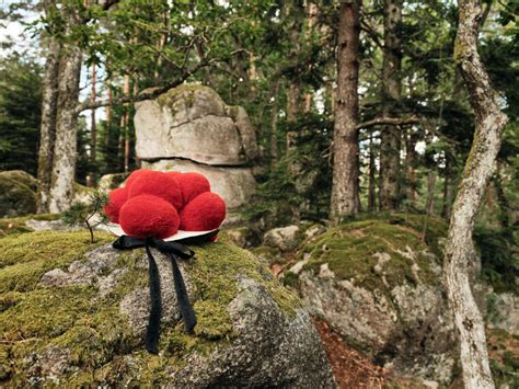 Das Kinzigtal Mitten Im Schwarzwald Mitten Ins Herz Tambiente